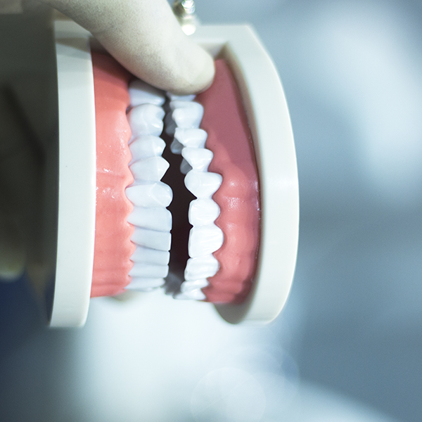 Periodontist Miami - Miami Dental Implants Specialist | Dr. William P ...